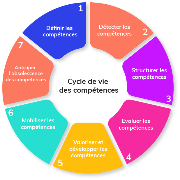 Définissons les compétences adaptées à votre entreprise.